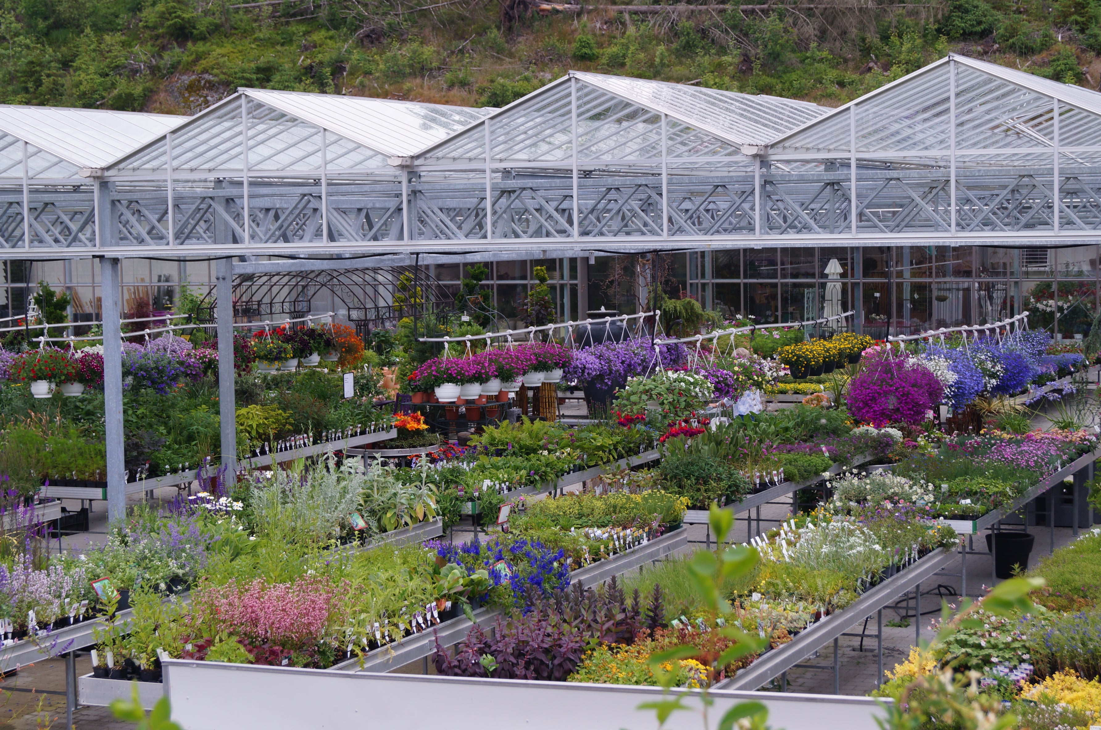 Produkter – Spanne Plantesalg